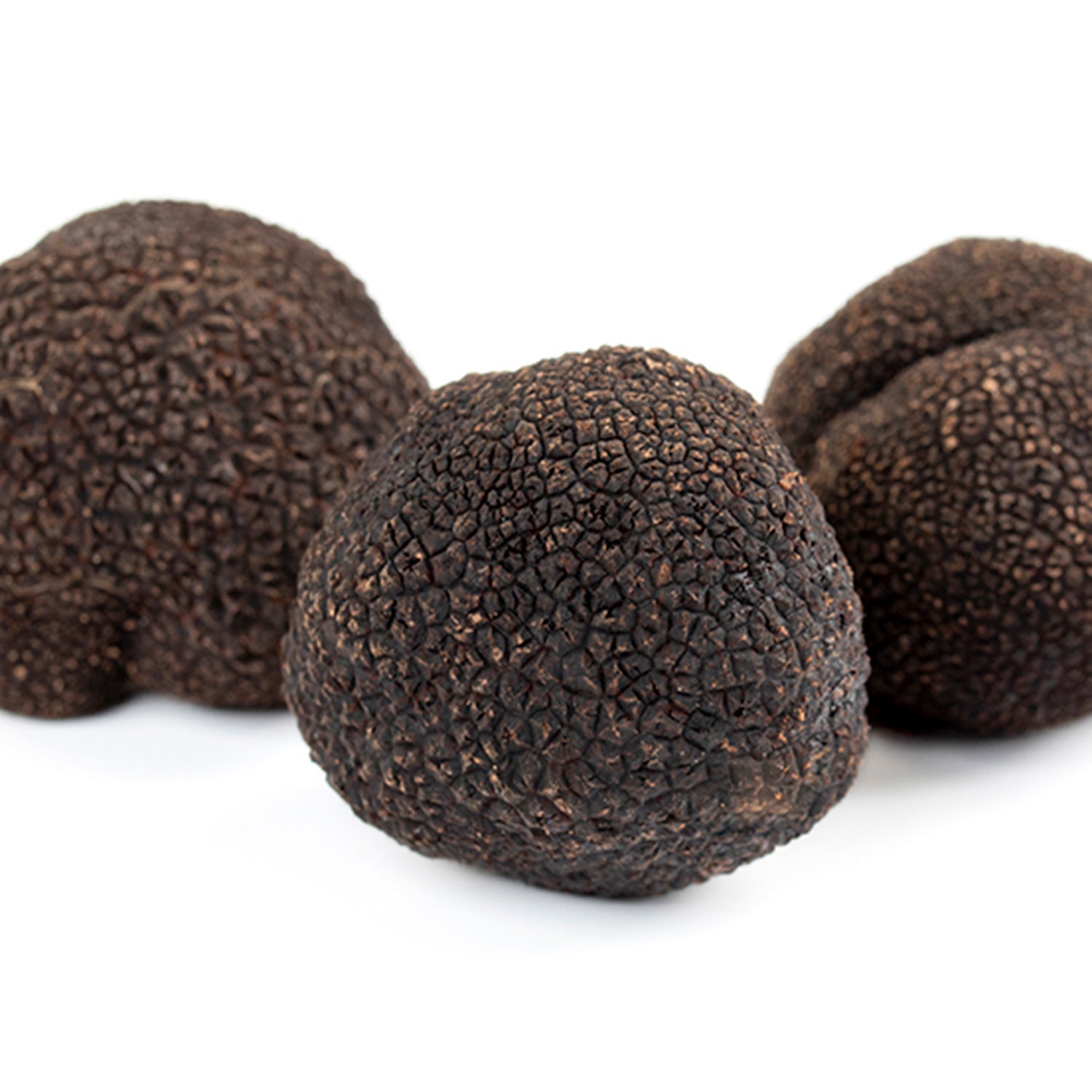 Trufas y Setas de máxima calidad | Comprar Trufa Negra – LAUMONT SHOP